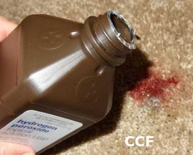 Carpet Cleaning With Hydrogen Peroxide | Carpet Cleaning Force