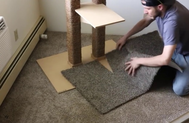 My Journey: Selecting the Perfect Carpet for My Cat Tree - Carpet ...
