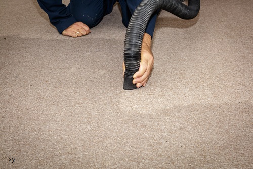 Carpet is wet for no reason - Carpet Cleaning Force
